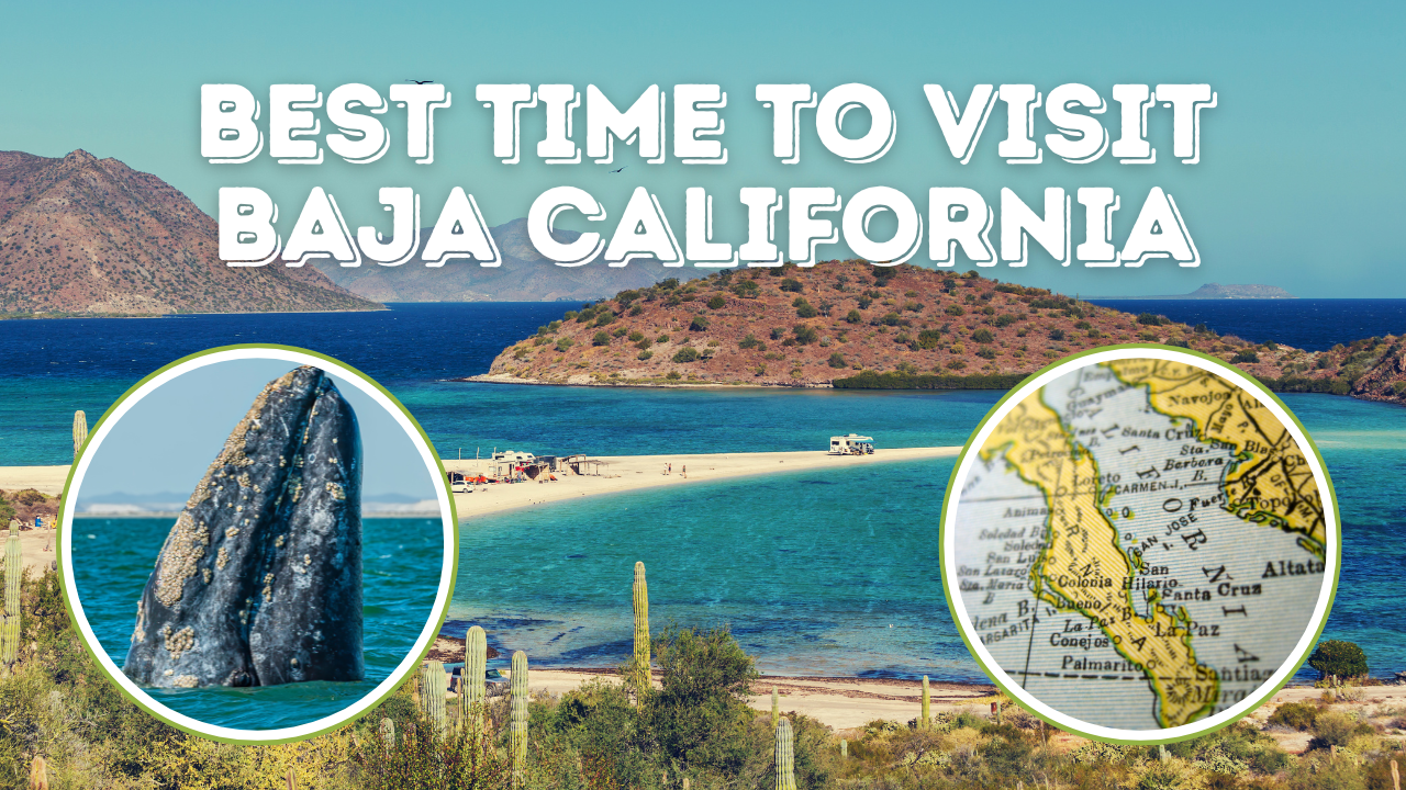 Exploring Baja California: A Guide to Wine Tasting, Hiking, Surfing, and