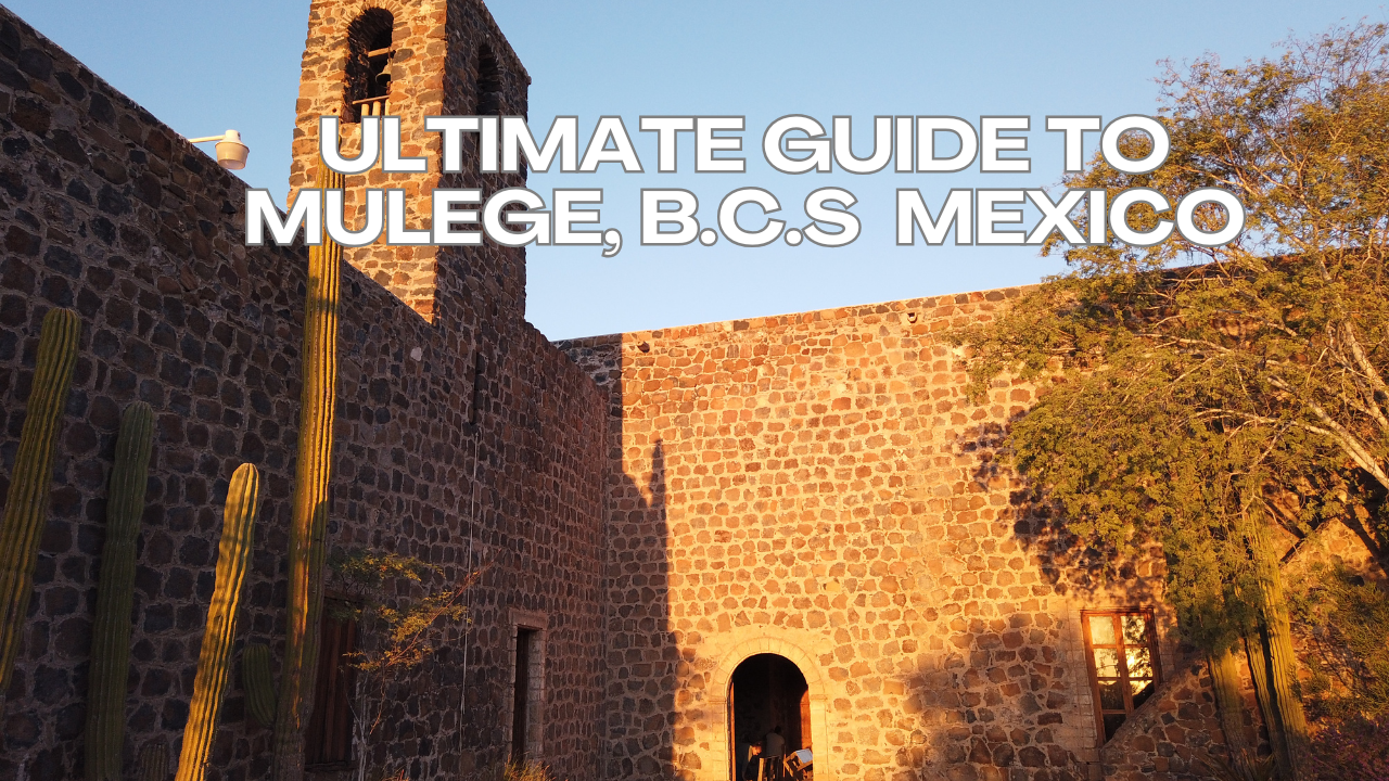 Discover Mulegé: Your Ultimate Guide to Baja California Sur's Hidden